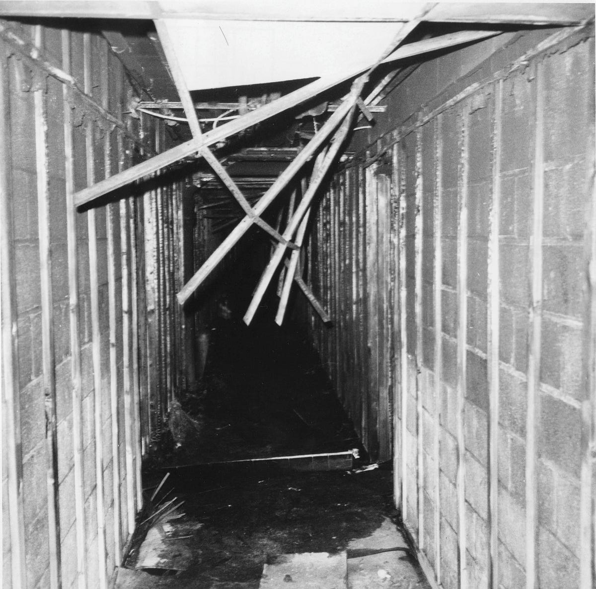 An Ivy League Arson: 50 Years Later | by Max Denning | Medium