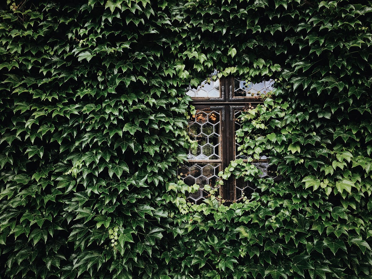How I Found My Writing Niche. Leveraging talents and passions to make ...