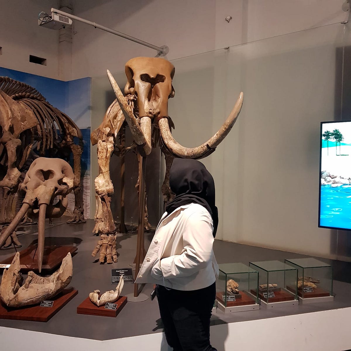 Hey! Ini pertama kalinya aku mengunjungi museum ini lagi setelah sekian ...