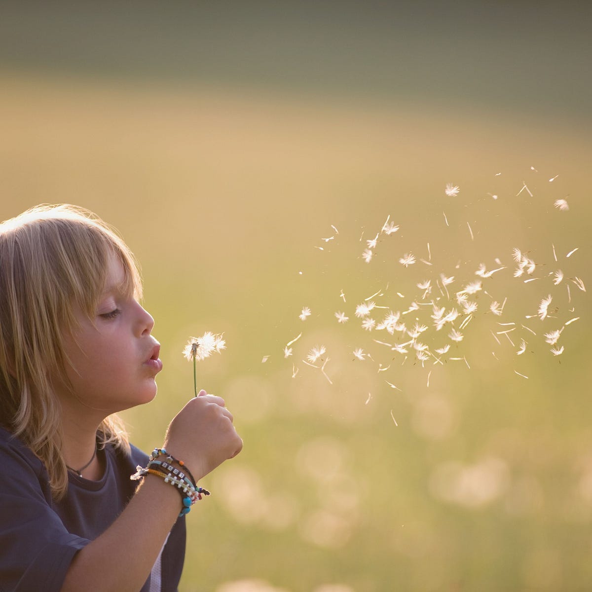 Why You Keep Reliving the Same Lessons | by Laurel Abell | Dec, 2025 ...