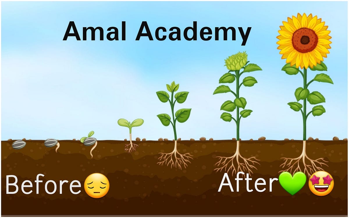 Positive Reflection: Amal Academy | by Hina Noor | Medium