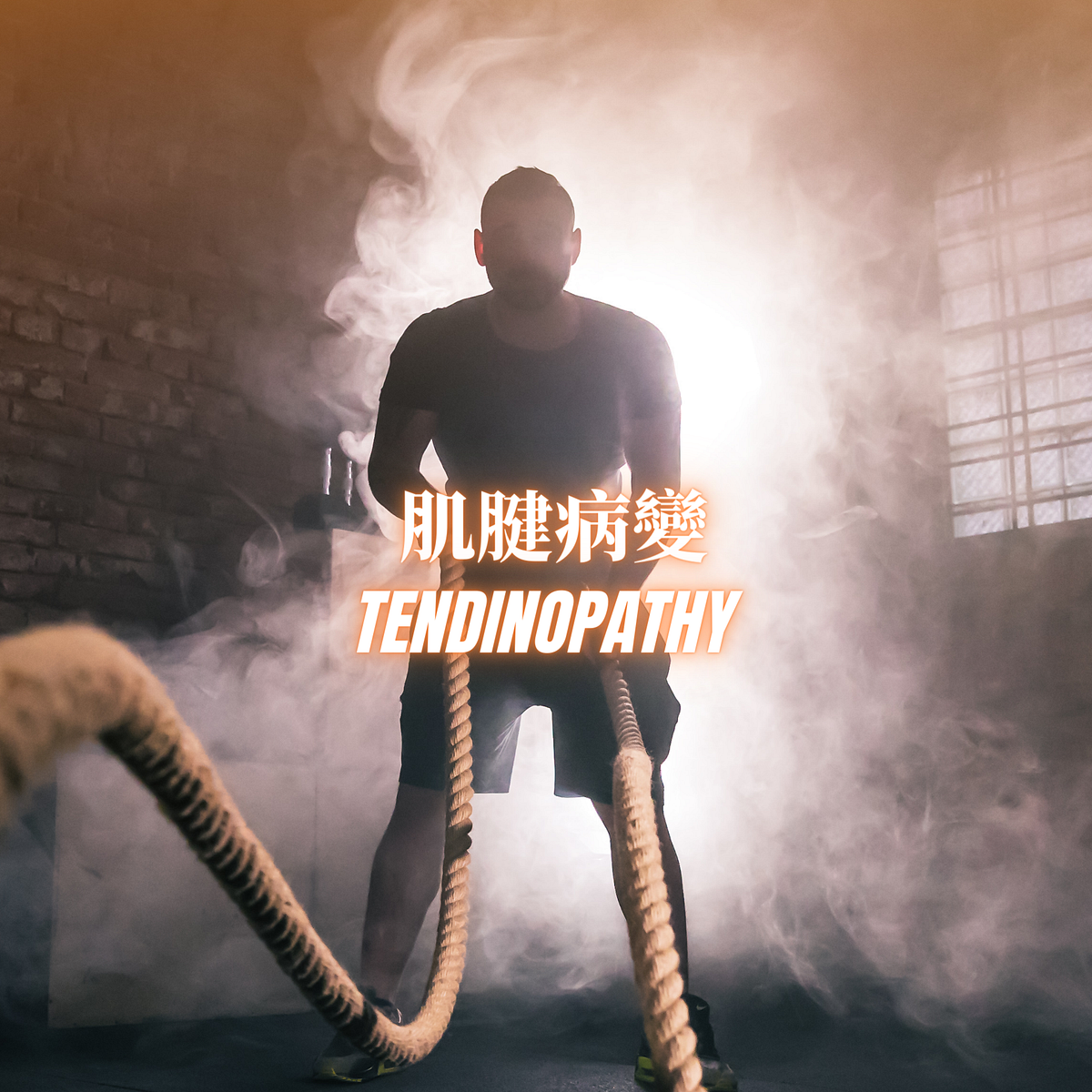 肌腱病變與復原的階段 - Shirley Physio 賴冠帆物理治療師 - Medium