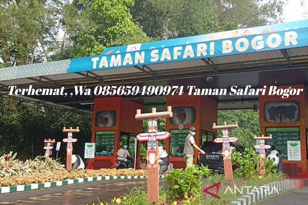 Terhemat, ,Wa 085659490974 Taman Safari Bogor | by Pahmi Ramdani | Medium