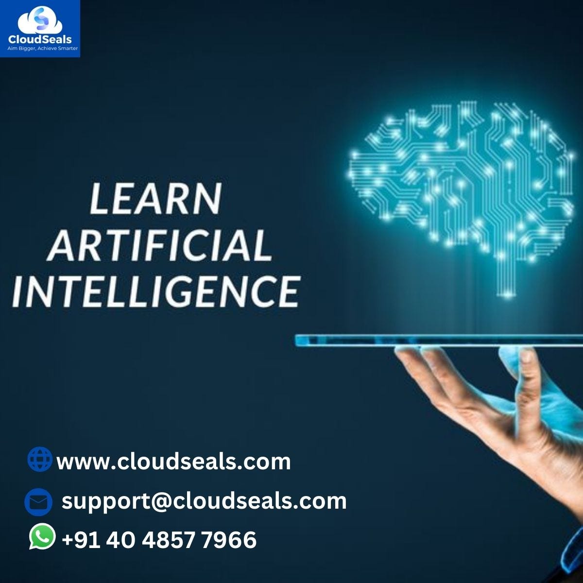 The internship training programme at CloudSeals AI is the only place to go! | by Cloudseals | Medium