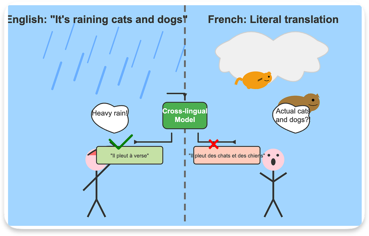 Scaling Down, Speeding Up: The Evolution of Cross-Lingual Language ...