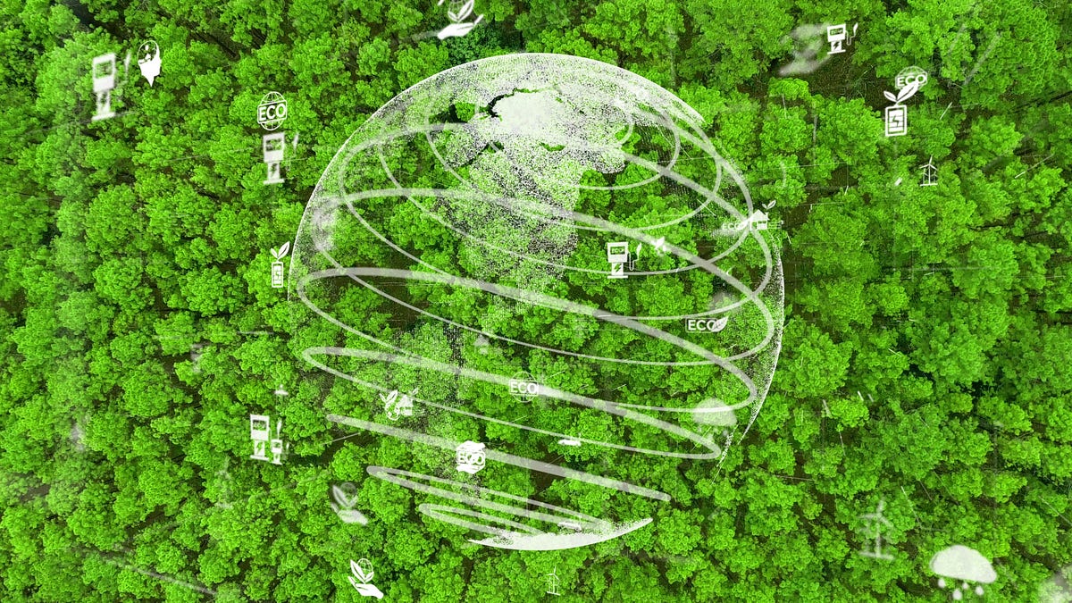 AI and environmental sustainability: a look into evoML’s green metrics and code optimisation ...
