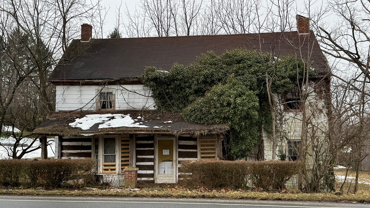 THE CAT IN THE WINDOW. The curtains hang ragged tattered and… | by Paul ...