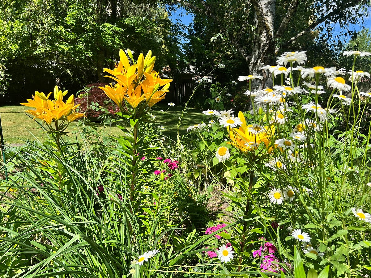 Fleeting Moments. How your time in nature benefits you | by Trista ...
