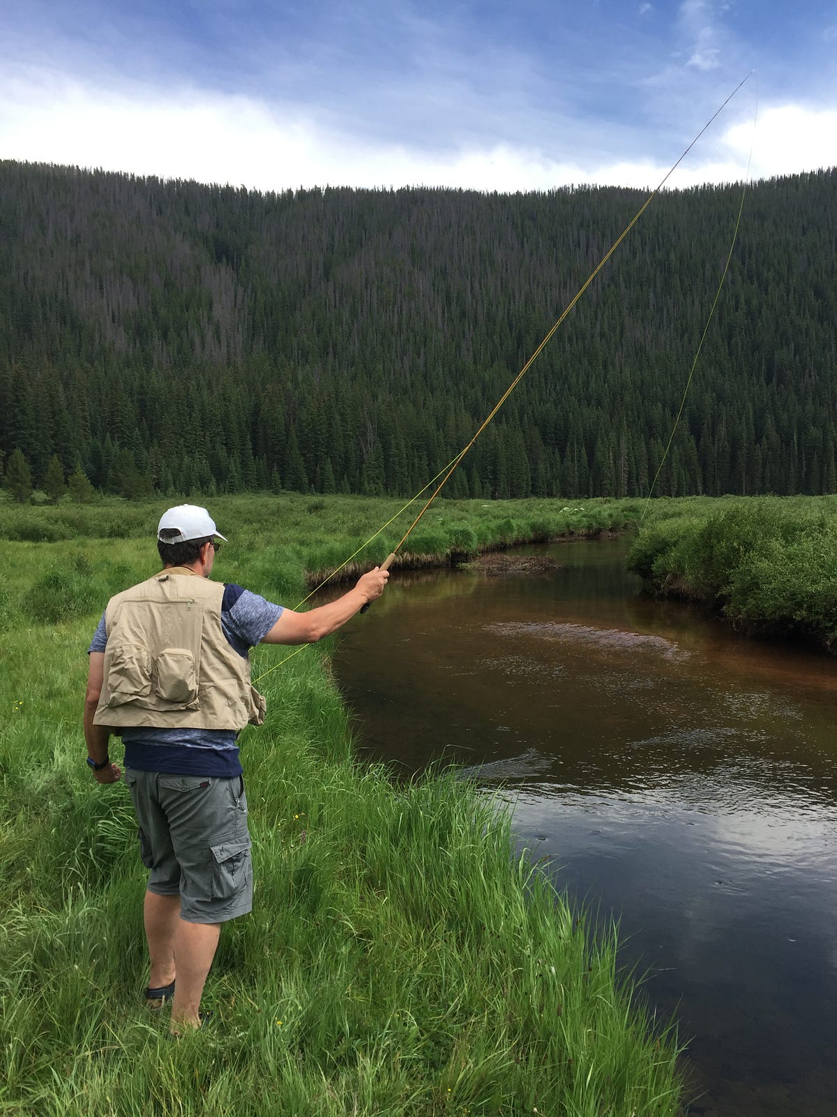 Intuition Complacency. Fly Fishing cannot be taught. Unlike… | by ...