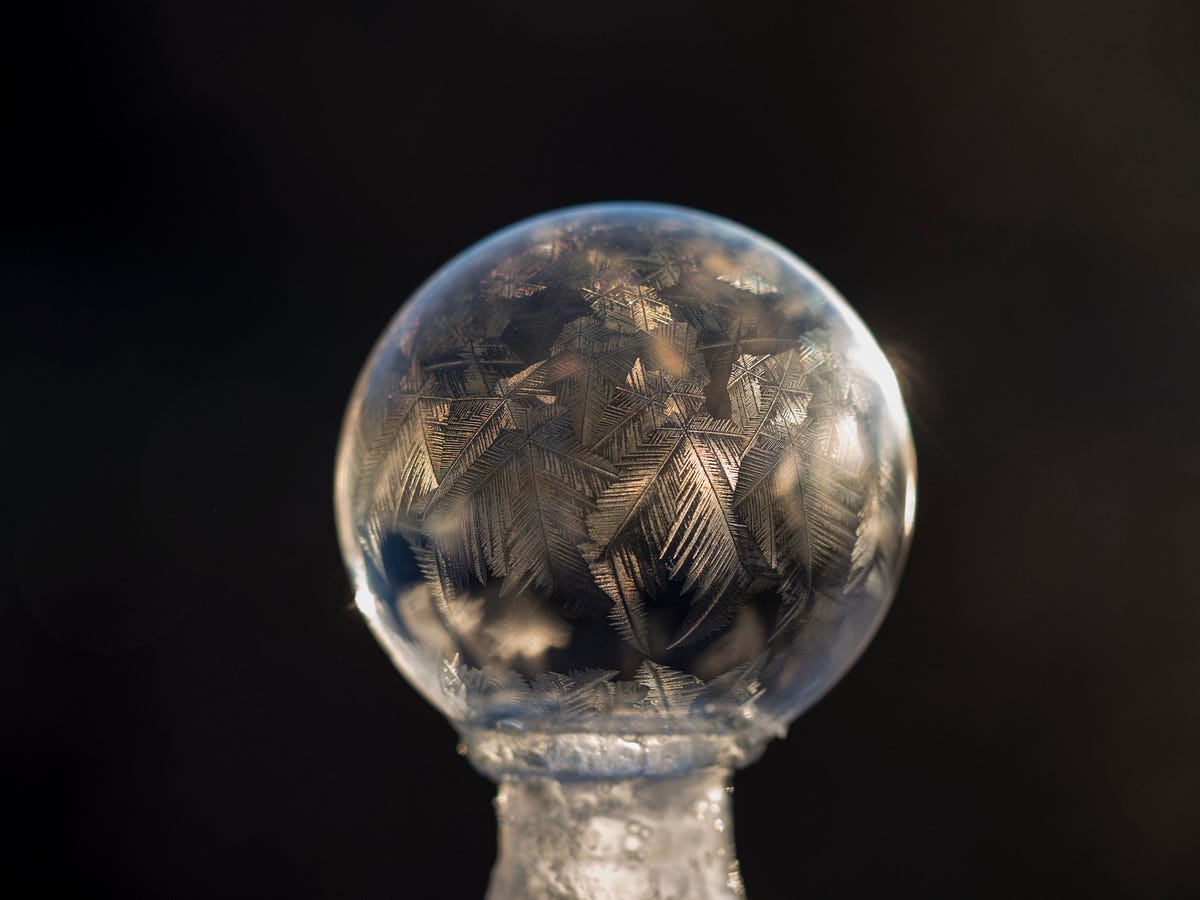 Javascript tips — Object freeze vs const | by Leonardo Bruno Lima | Medium