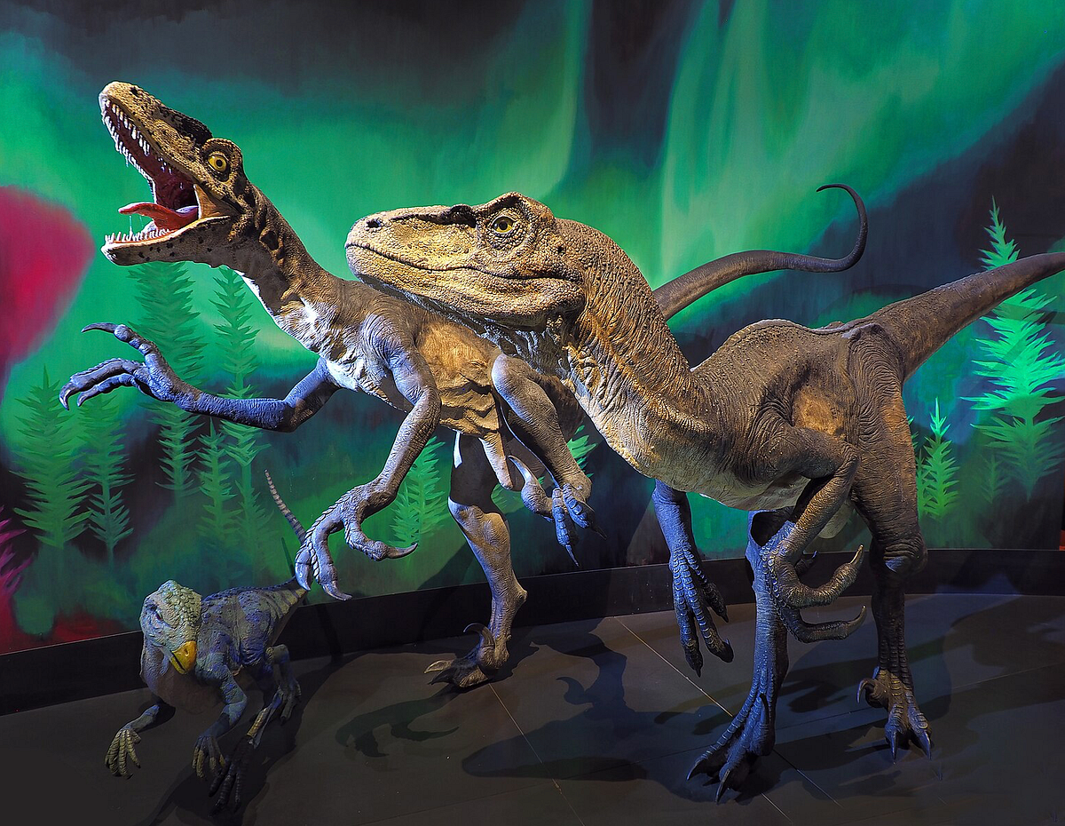 Was Tyrannosaurus Rex a Welfare Queen? | by Andrew Rodwin | Brain Labs ...