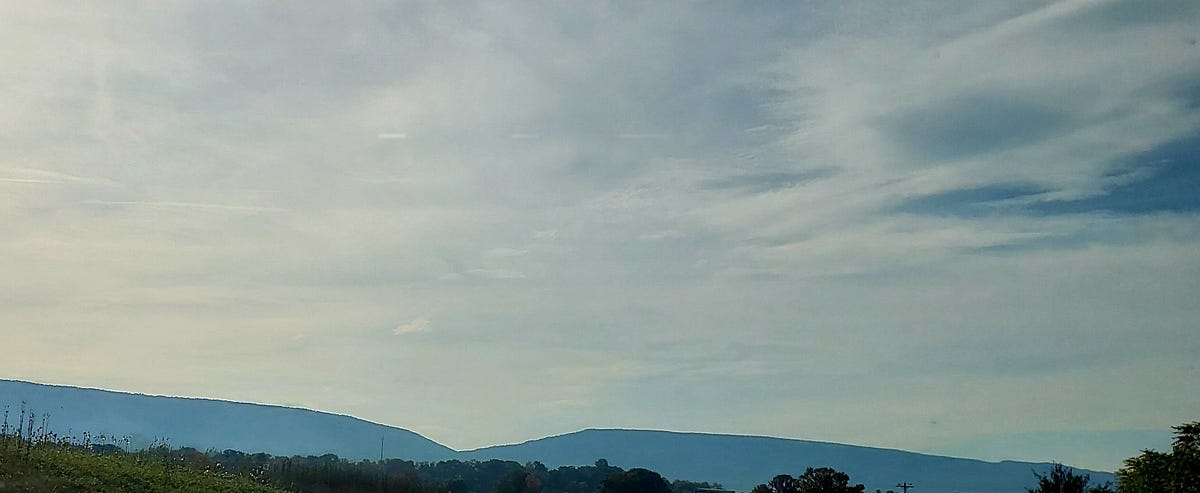 Numb. Green trees, blue sky, white clouds. I… | by Randall Snyder | Medium
