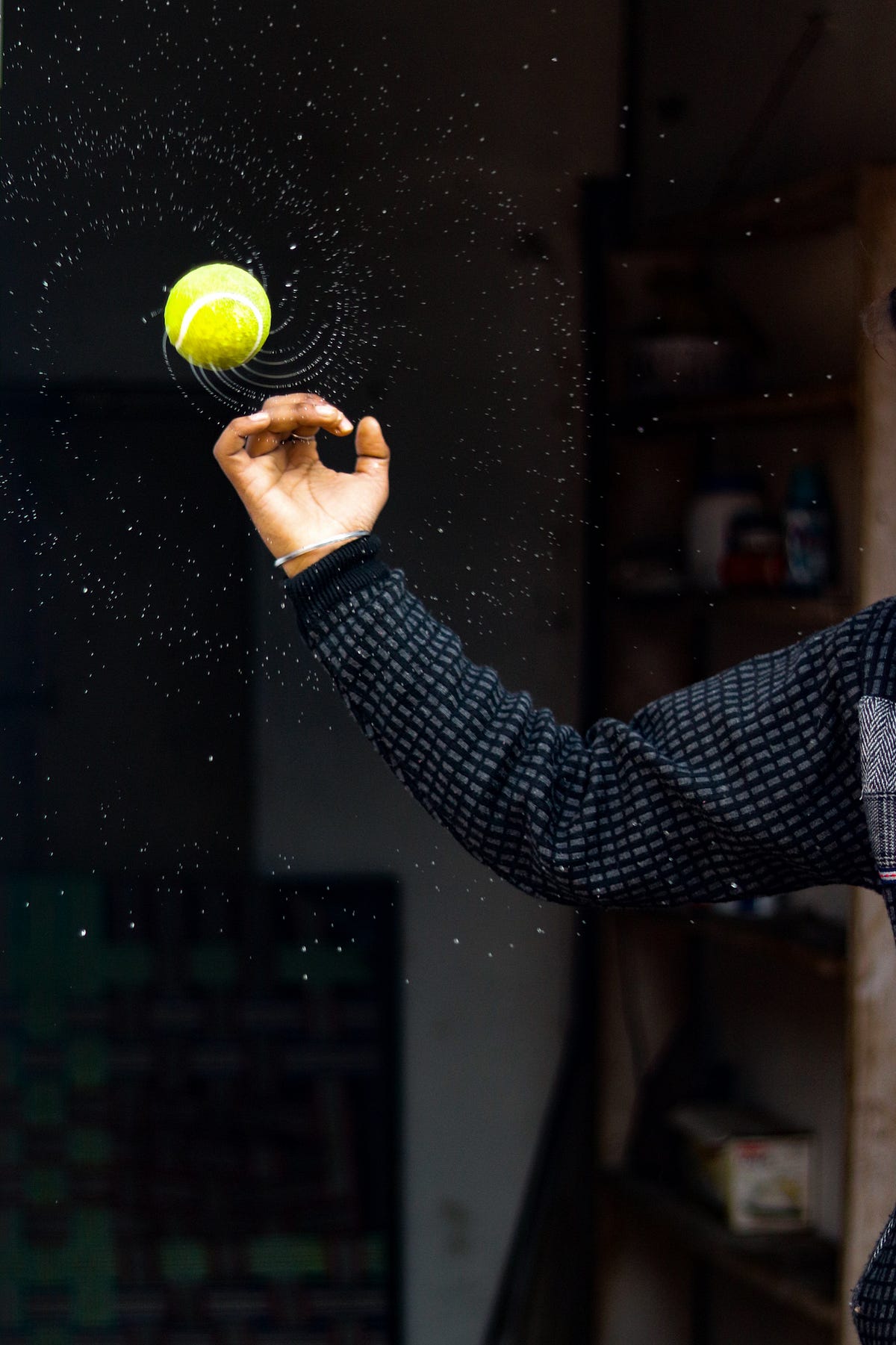 Some Tennis Grand Slam Champions | by Howard Fein | Medium