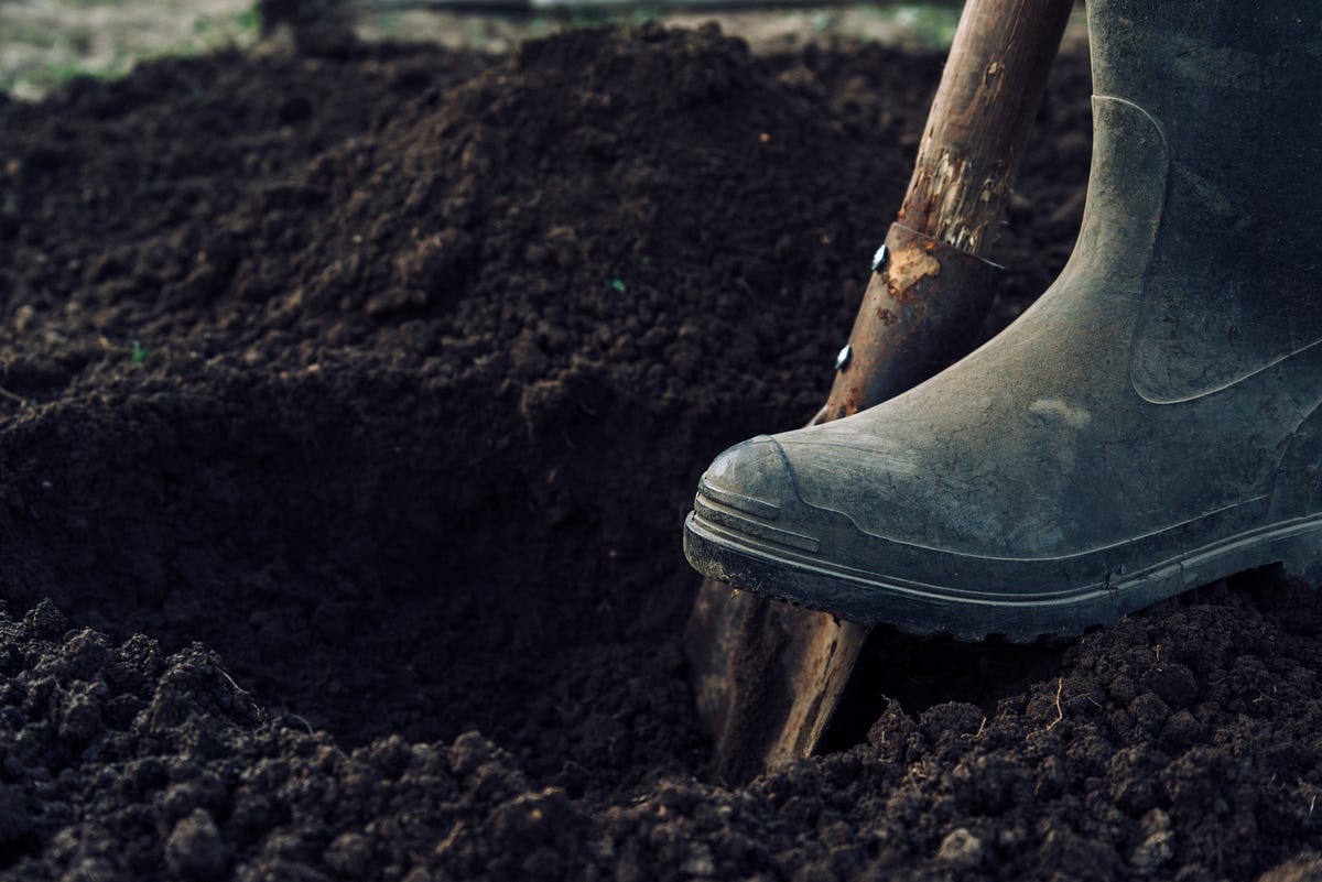 Digging Away at the Self. Self-discovery through the words of… | by ...