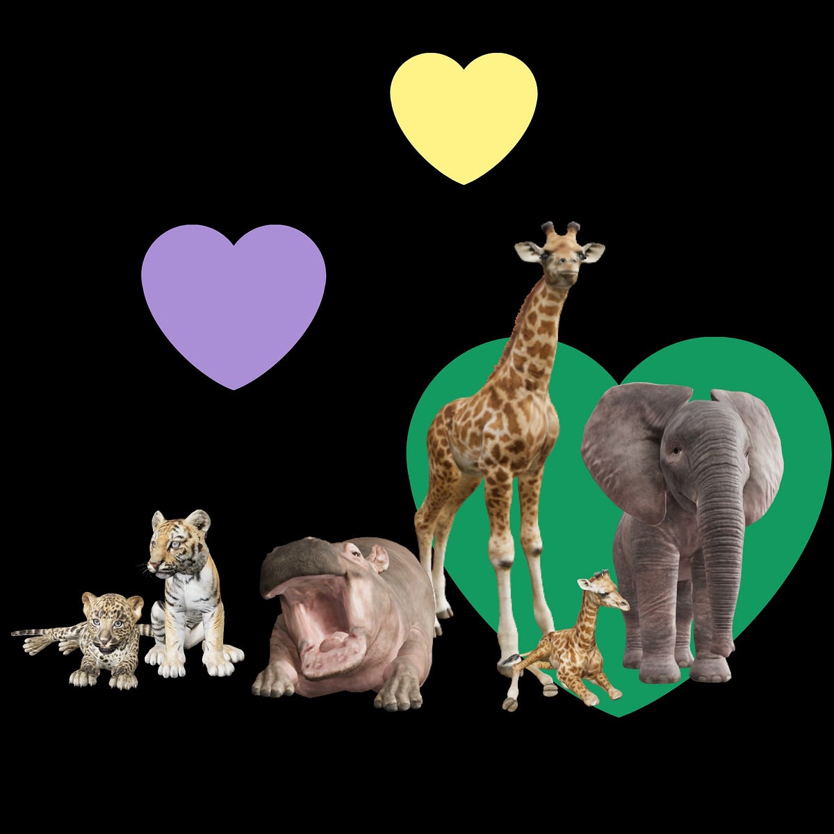 Zoo DAO: The Decentralized Force for Wildlife Conservation and ...