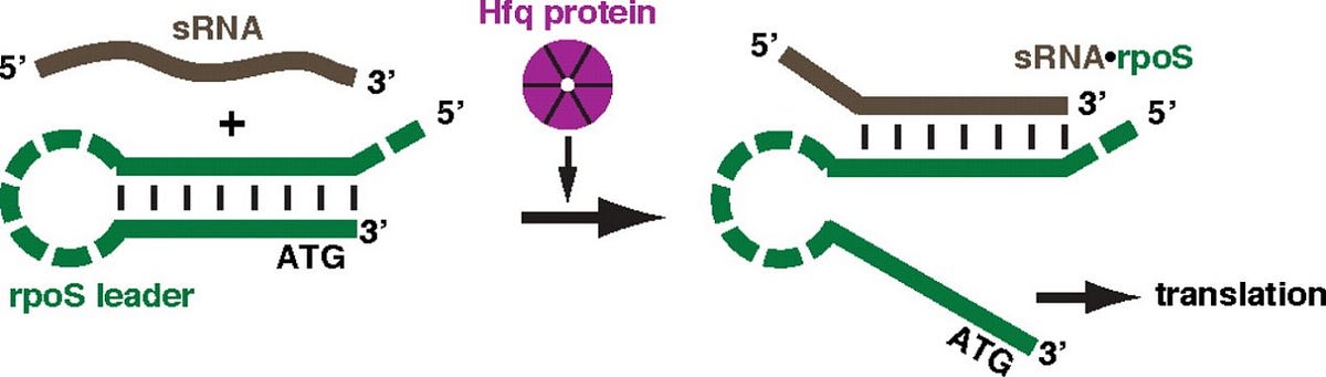 Differential Gene Expression Analysis of RNA Seq and Microarray Data ...