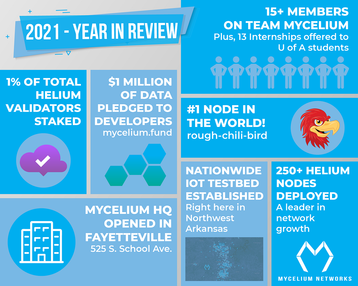 2021: The Statistics Behind Our Success | by Mycelium Networks | Medium