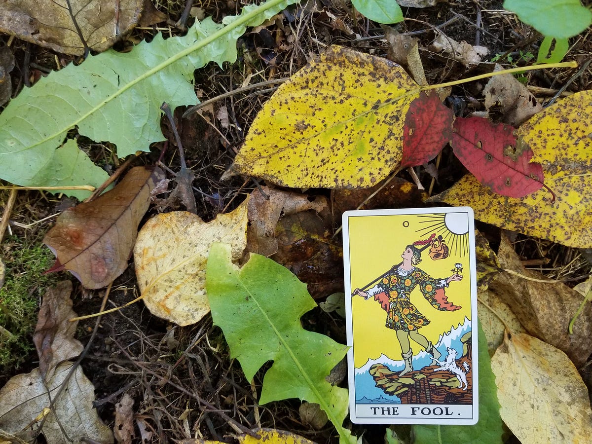 The Fool — My Take. Who is The Fool? | by Vicky Faye | Medium