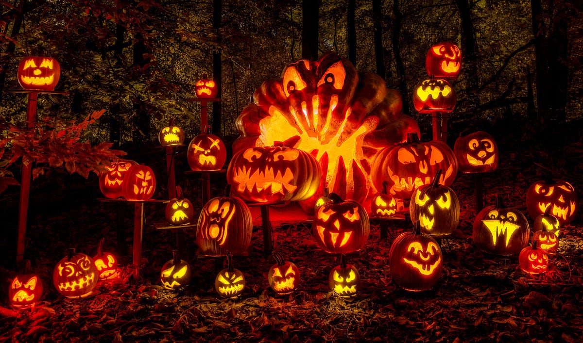 The Pumpkin Identity Crisis. Once every year, the humans enjoy… | by ...