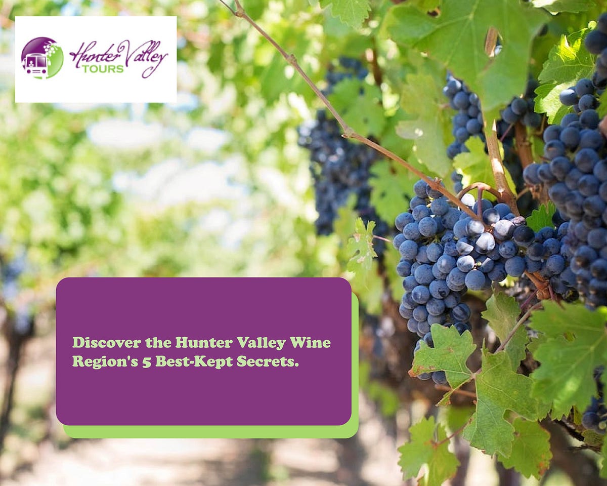 Discover the Hunter Valley’s Best-Kept Secrets: Top 5 Hidden Gems in ...
