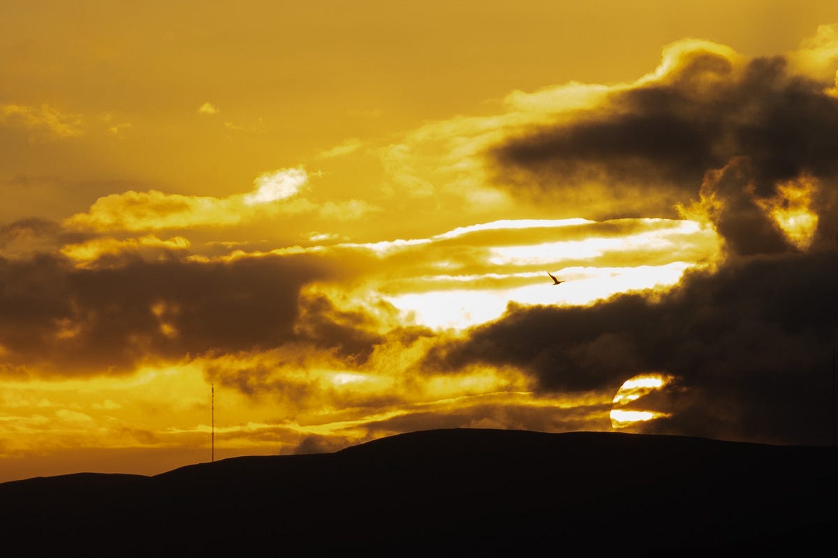 Here’s to those who have risen again [poem] | by Rick Johnston | The ...