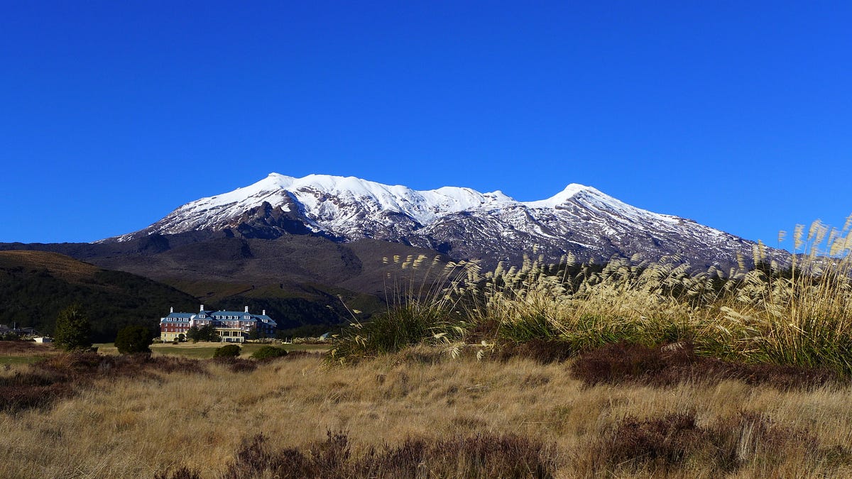 Collecting data from businesses — Lessons from the Accommodation Data ...