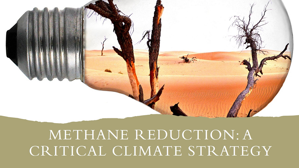 Methane Reduction as a Critical Climate Strategy | by Robert C. Brears ...