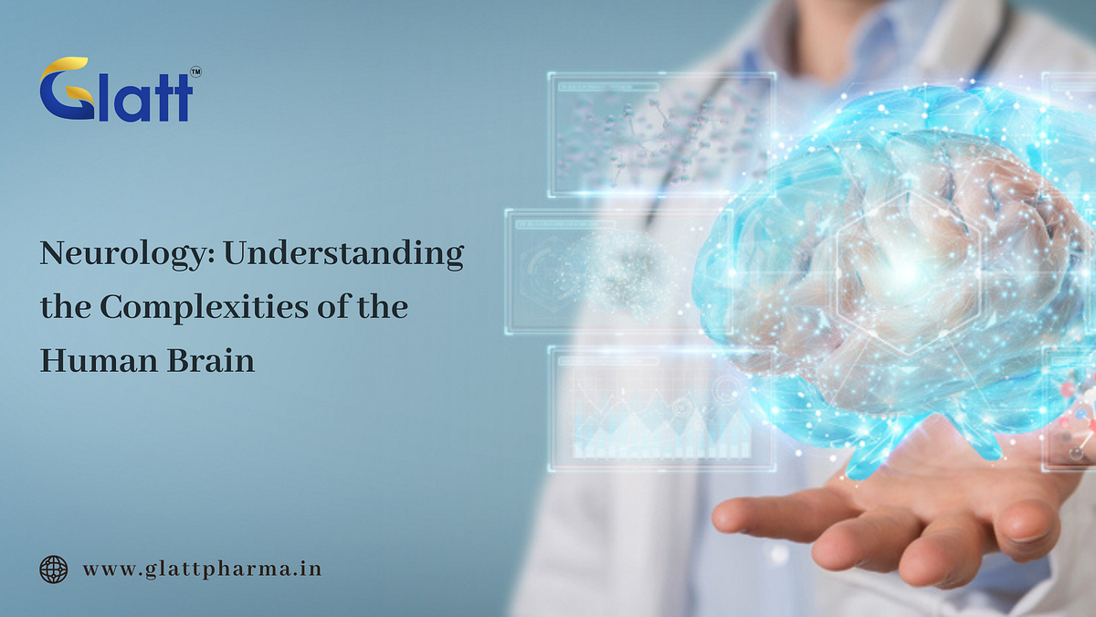 Neurology: Understanding the Complexities of the Human Brain | by Glatt ...