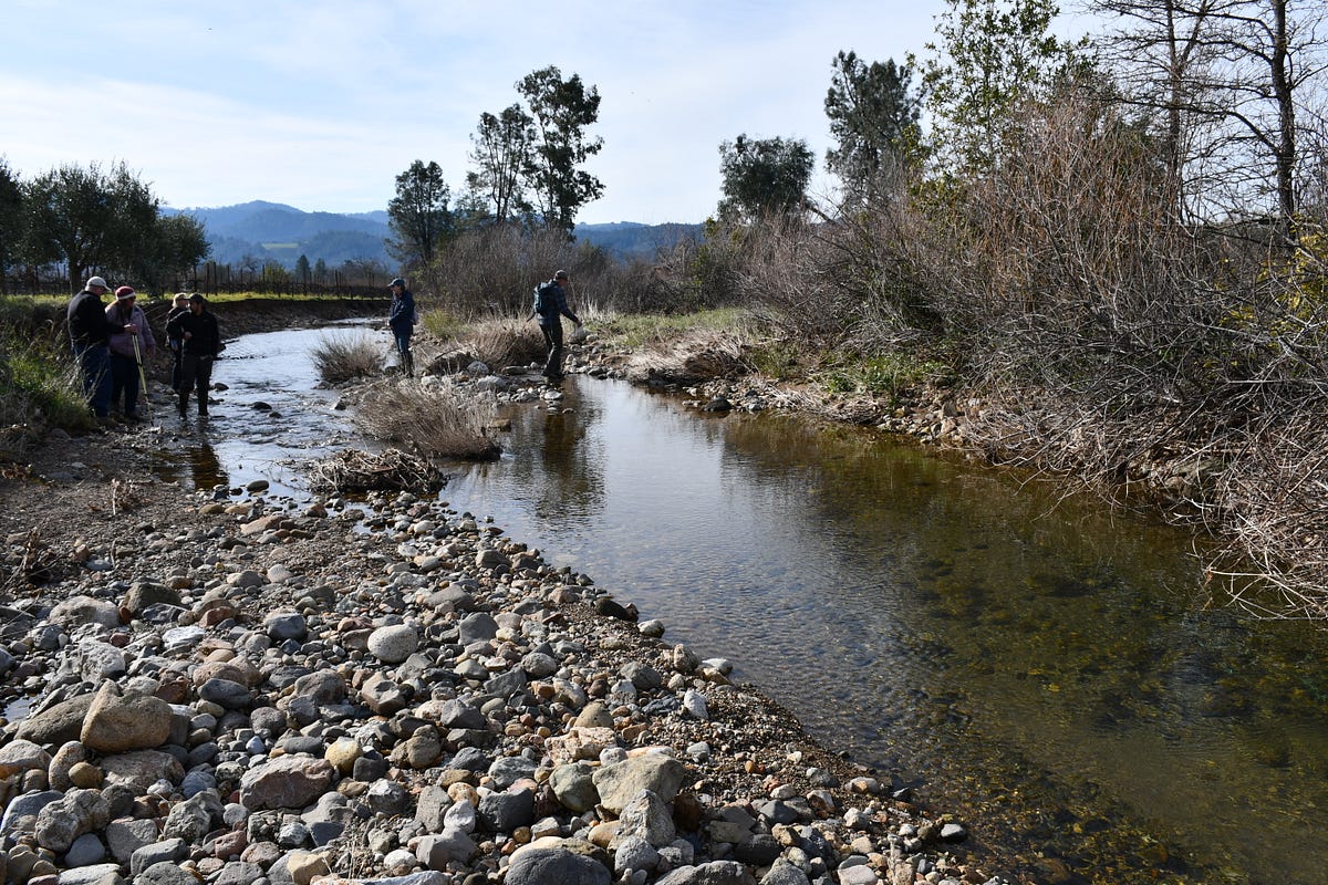 Alia’s Notes from the Field. On February 1st, I went to Napa County ...