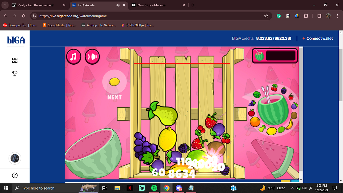 BIGA arcade p2e games: A juicy adventure with watermelon game | by Skimask9 | Medium