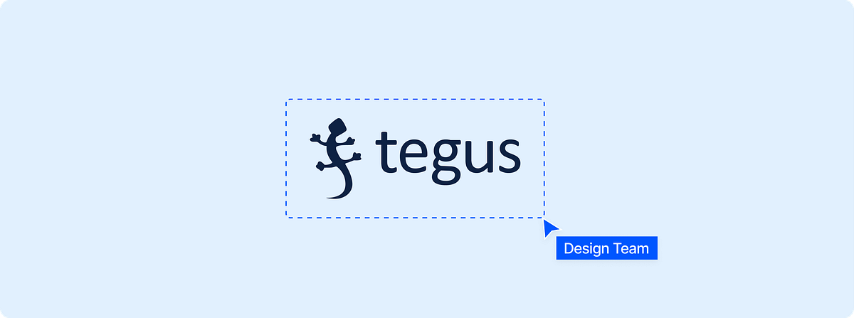 Tegus Design Introduction. Who we are. Why you should join Tegus… | by ...