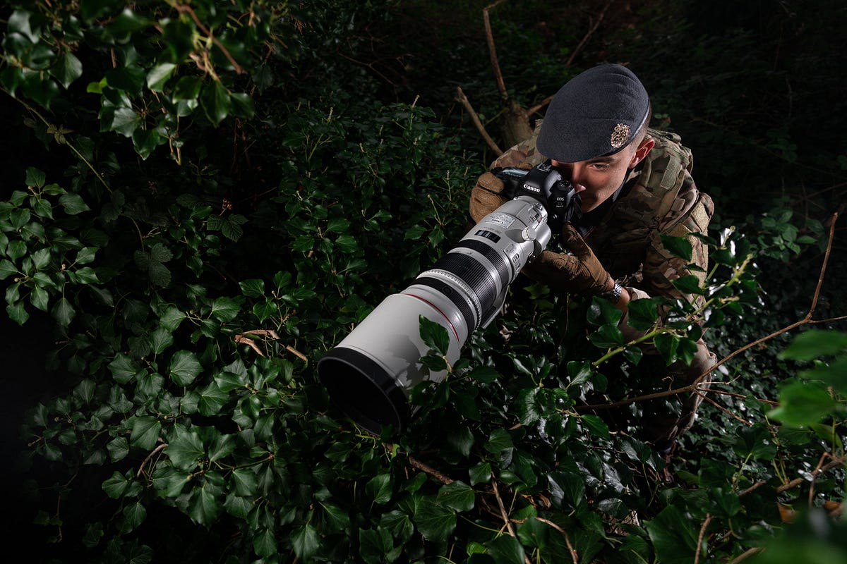 World Photography Day 2021: the best work of military photographers ...