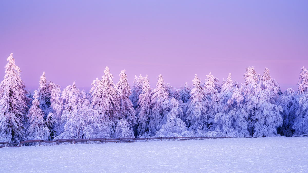 Angularjs interview preparation for juniors in 2023 | by Doga Budak ...