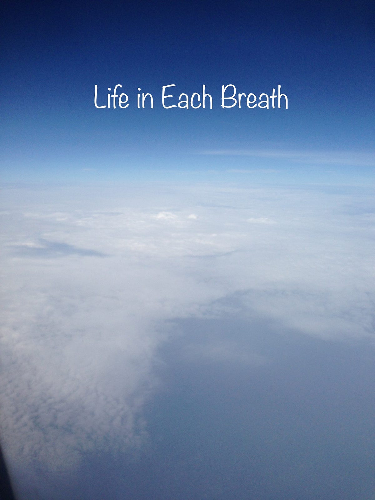 LIFE IN EACH BREATH. I have always wondered, how much life… | by VIPUL ...