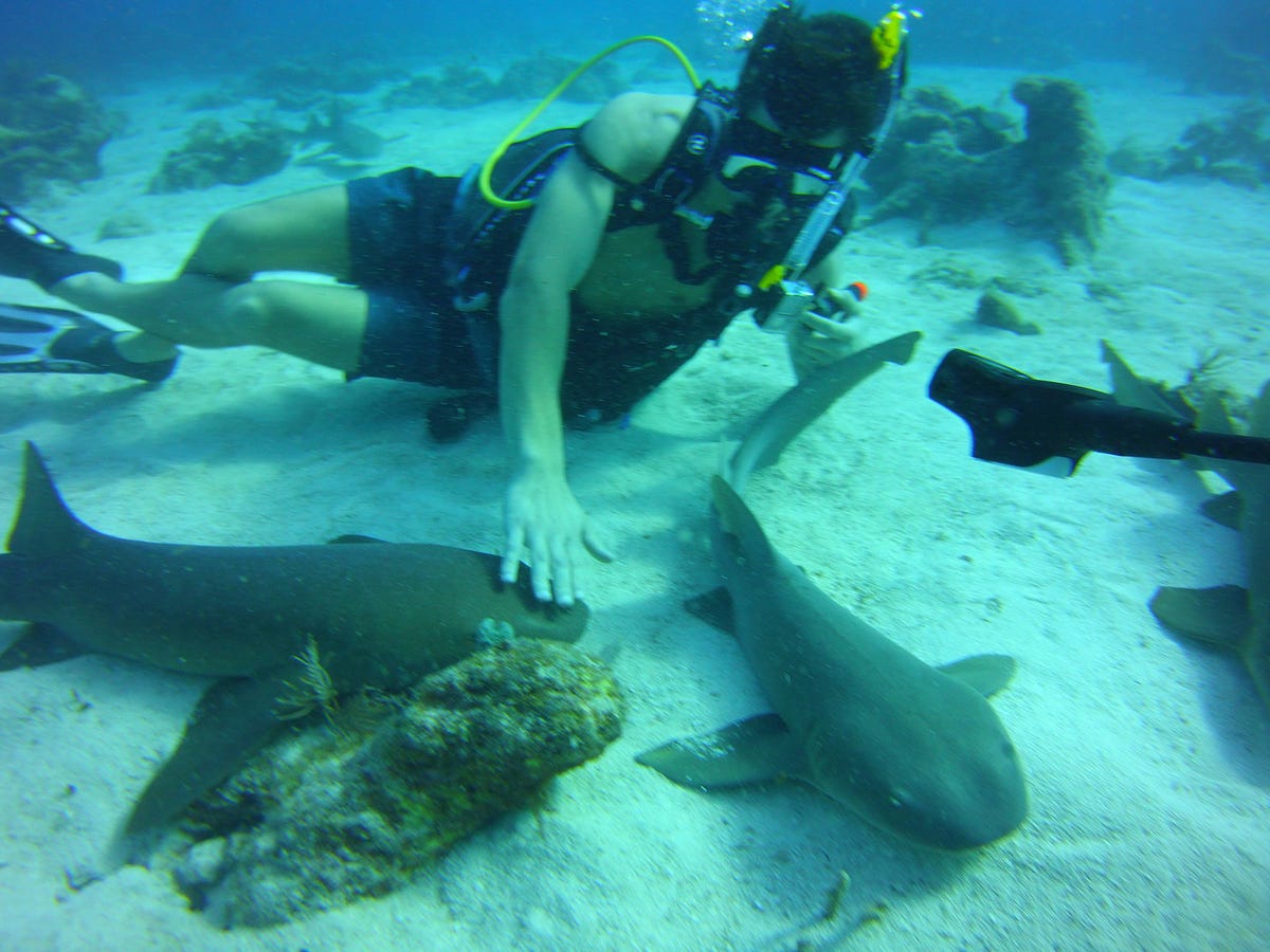 What’s It Like To Be 70 Feet Underwater? | by Bob Dumont | Traveling ...