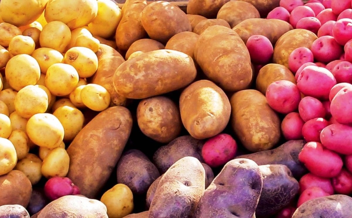 The Economic Mythology of the Potato | by Christie Neary | Medium