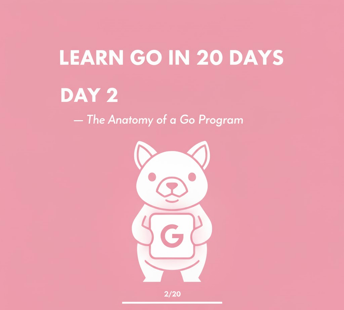 Learn Go in 20 Days: Day 2 — The Anatomy of a Go Program | by The Cache Cowgirl | Medium