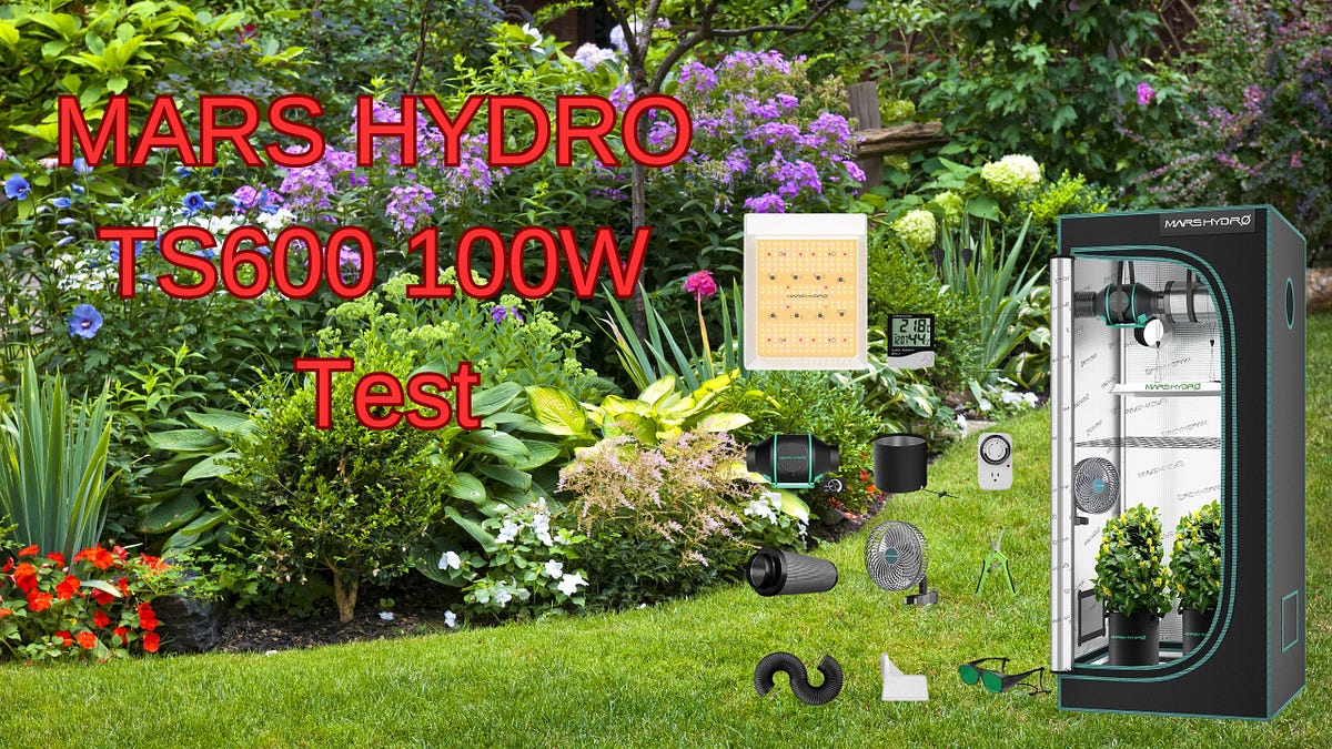 Das ultimative Pflanzenwachstum enthüllt: MARS HYDRO TS1000 im Test ...