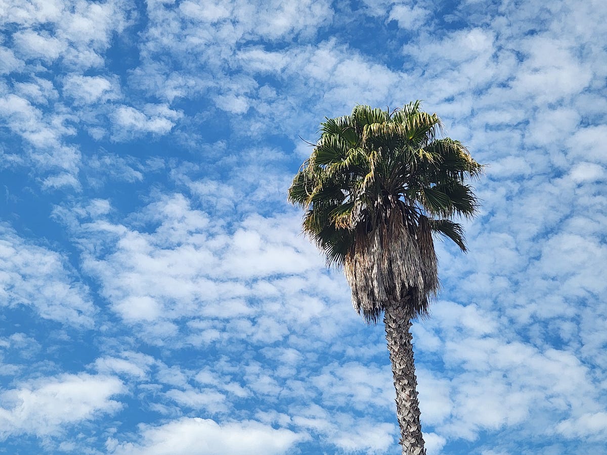 Are you usually delighted or disappointed in life? | by Siow Vigman ...
