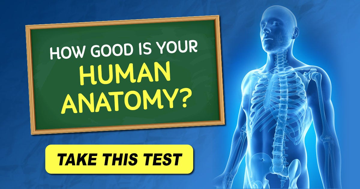 How Good is Your General Human Anatomy? Take the Quiz — Multiple Choice ...