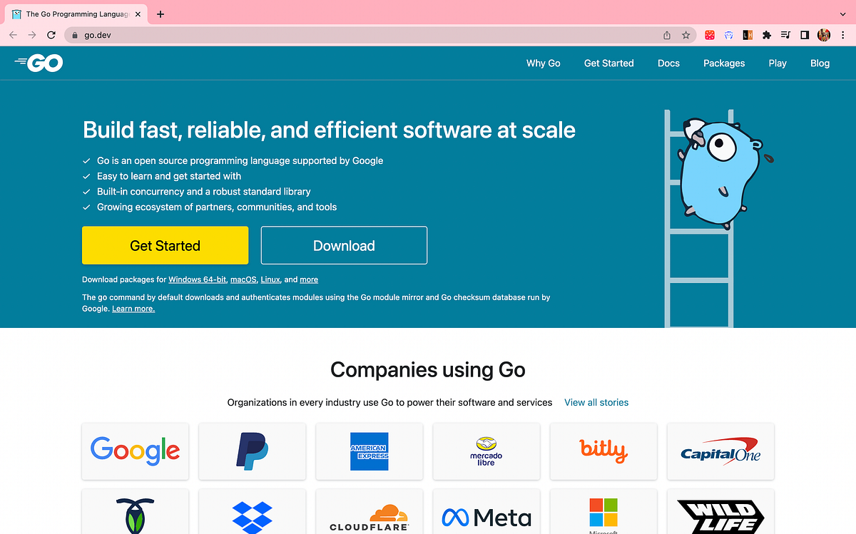 How to install Go on Apple M1 MacBook? | by Ekta Dhobley | Towards Dev