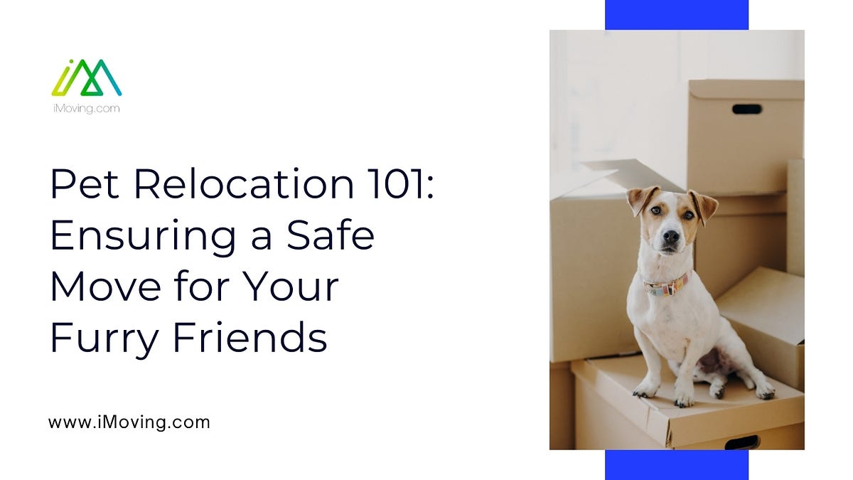 Pet Relocation 101: Ensuring a Safe Move for Your Furry Friends | by ...