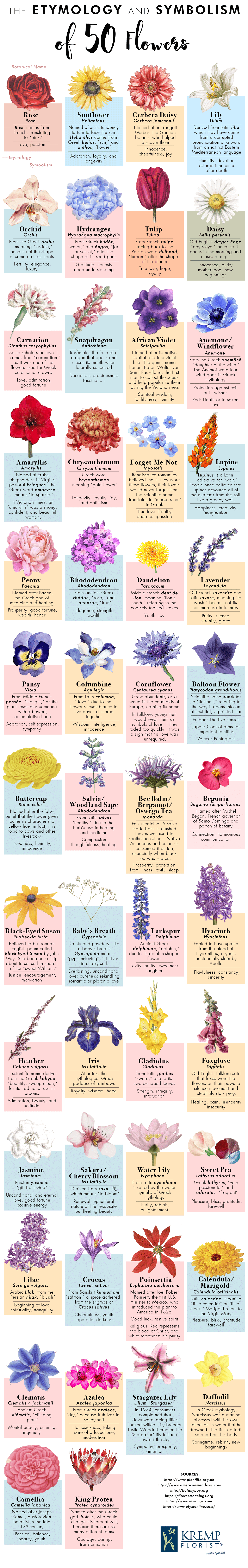 The Etymology and Symbolism of 50 Flowers | by Tucker Jaxson | Medium