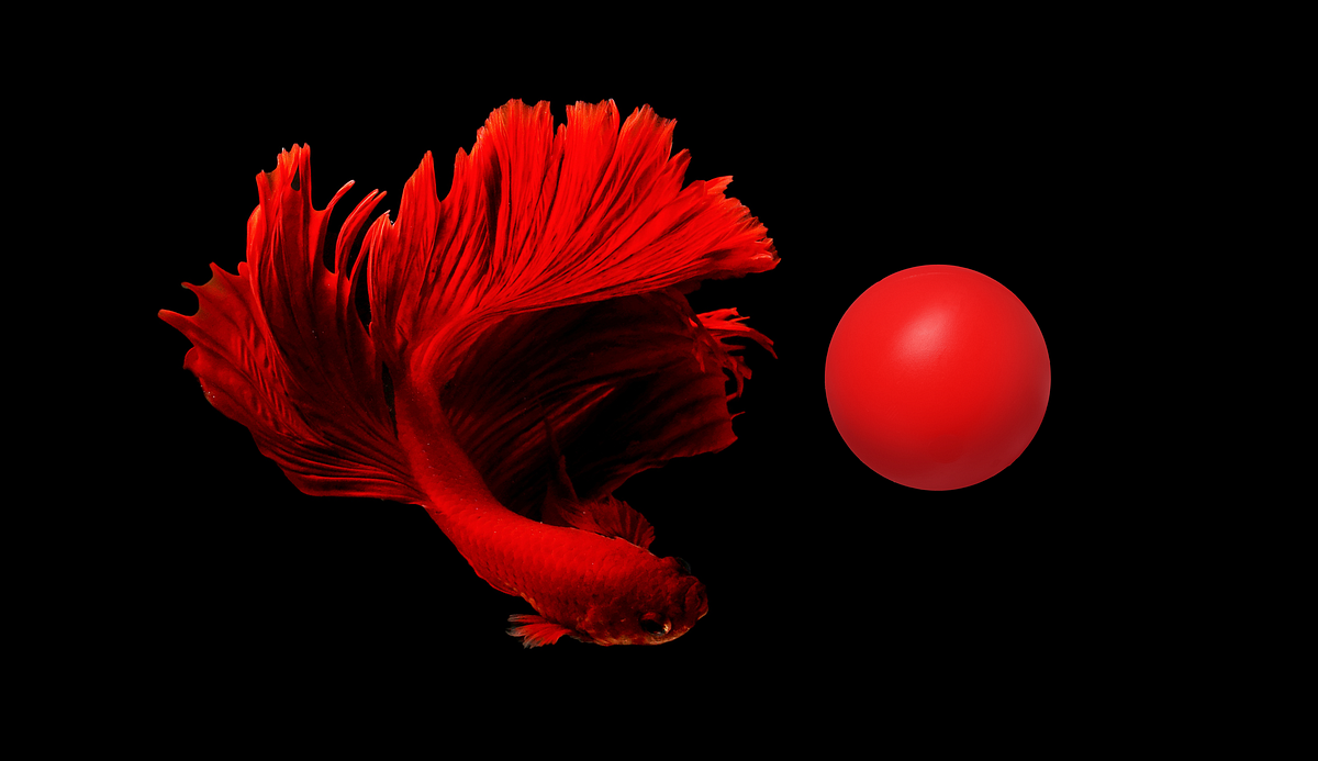 CordaCon 2019 Highlights: Web3j Corda SDK | by Adel Rustum | B9lab blog