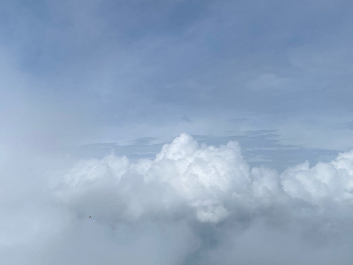 The Wound that Never Healed. “Let time heal it”, but when? | by ...