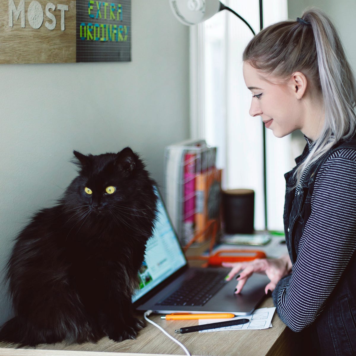 What Cat Lovers Post On Facebook. Insights into cat people | by Mom of ...