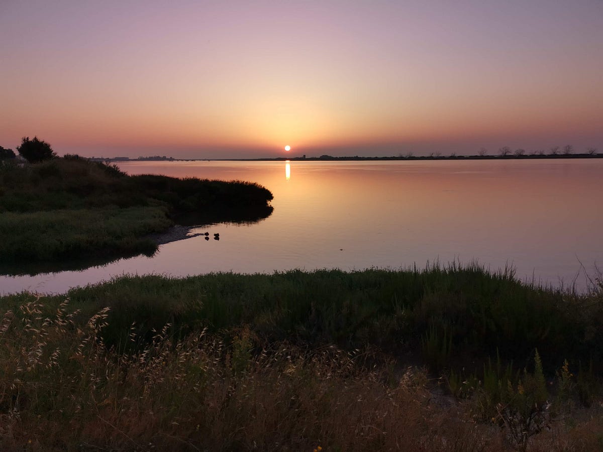 Hi - Alma inquieta - Medium