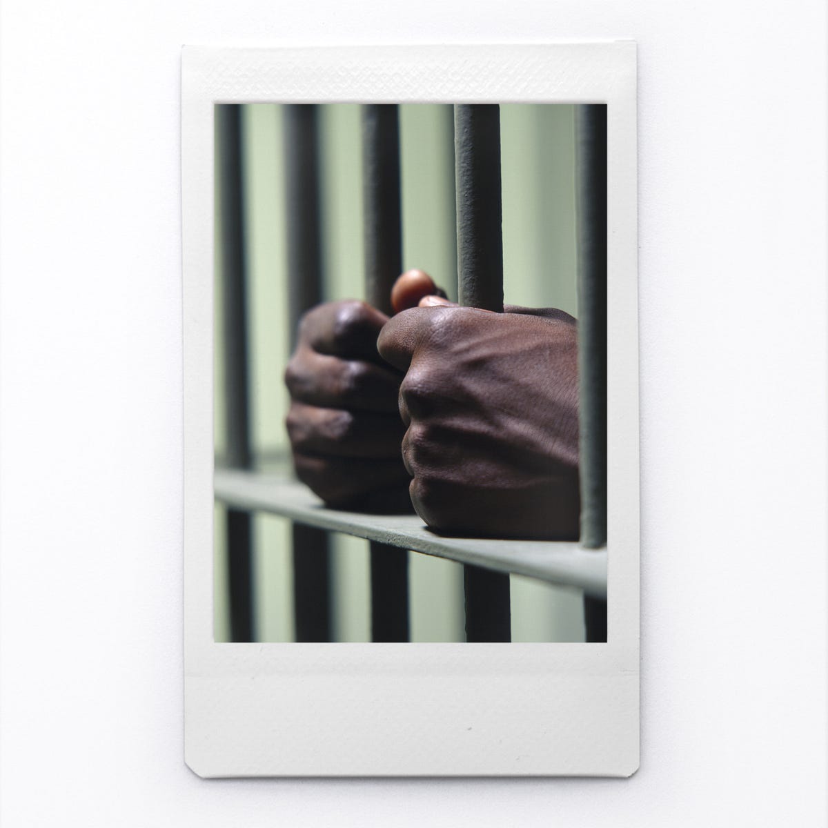 Institutionalized By DANNO. Mammals caged like animals | by DANNO | Medium