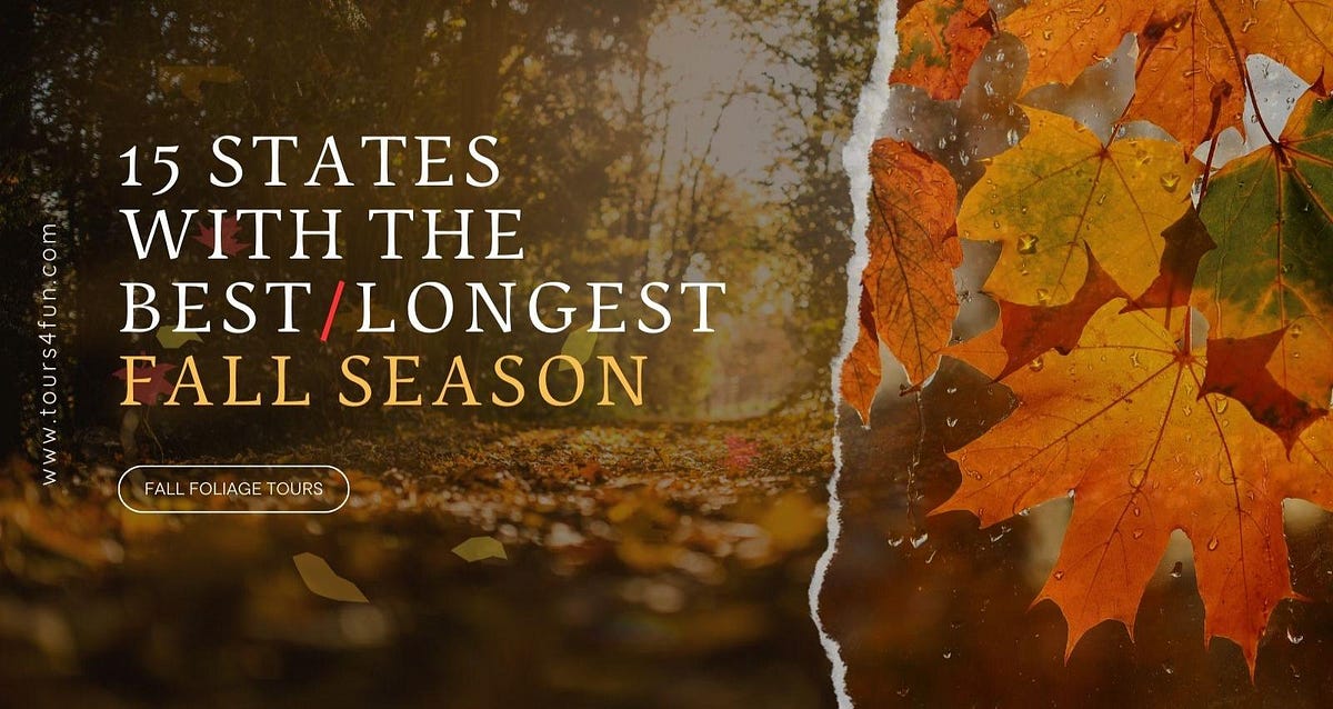 What are the most popular beauty tips for the fall season in the USA ...