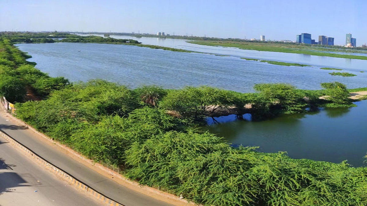 World Environment Day 2020: Positive Impact of COVID-19 Lockdown on ...